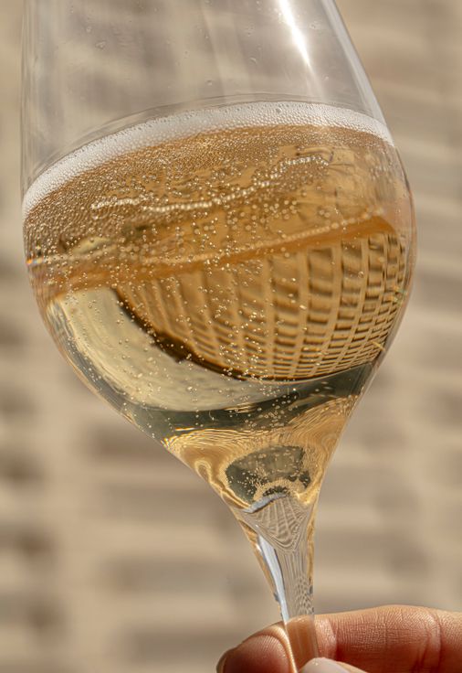 Our wine - Domaine Evremond