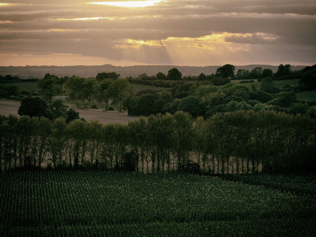 Domaine Evremond